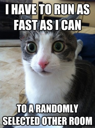 cat running meme - 1K Smiles