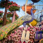 Rose Parade float peacock - 1K Smiles